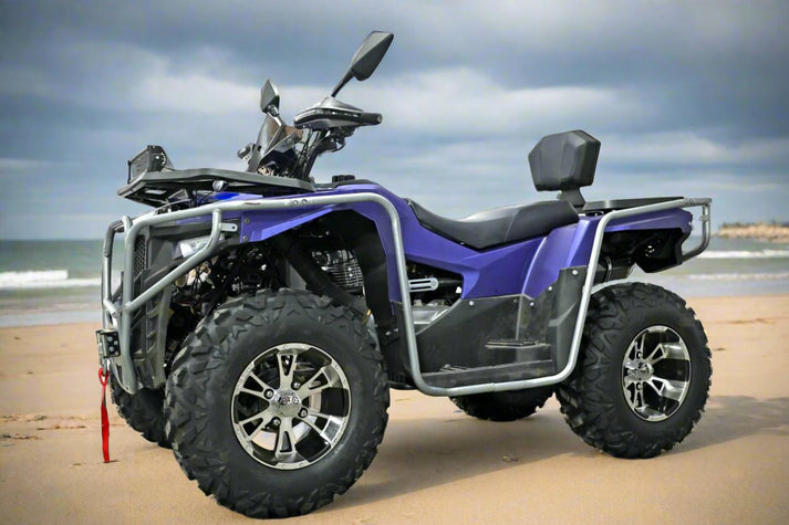 300cc Panther ATV (Quad Bike)- Off-Road ATV - 12 to 100 years old - NO ...
